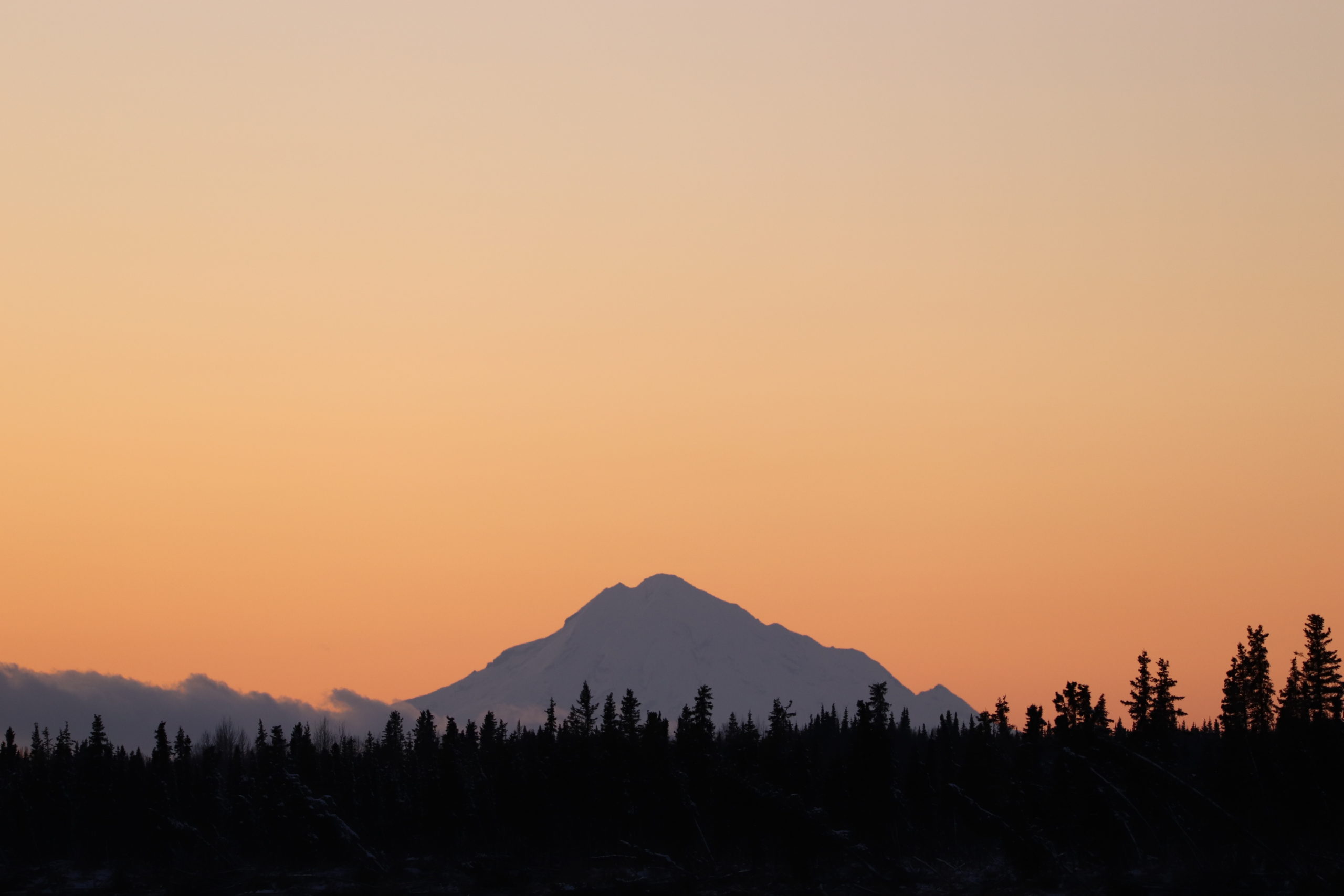 5 Remedies for Mosquito Bite Relief - Everyday Alaska